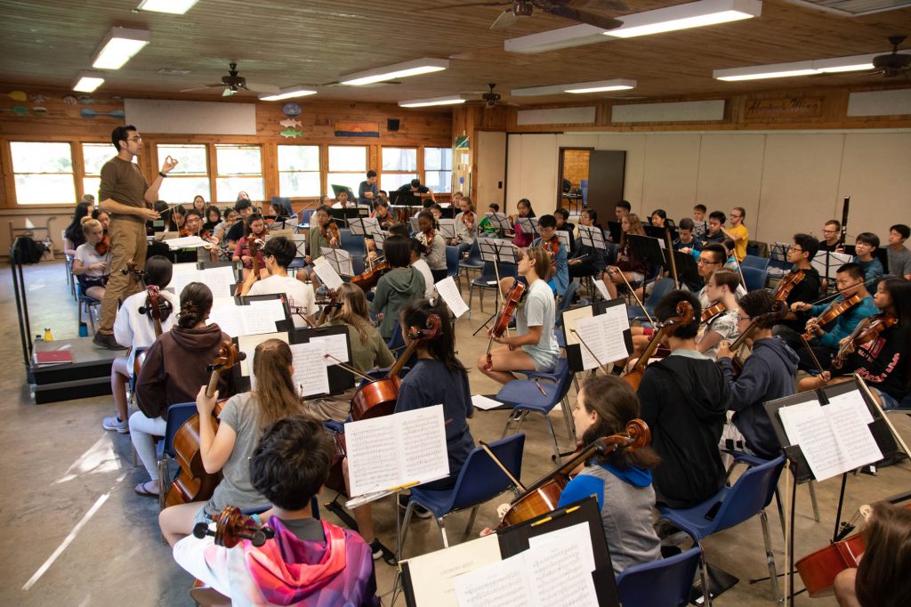 Mission & Inclusion – Delaware County Youth Orchestras